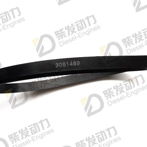 oil seal 3081489 price,Cummins,Crankshaft Oil Seal spare parts ...